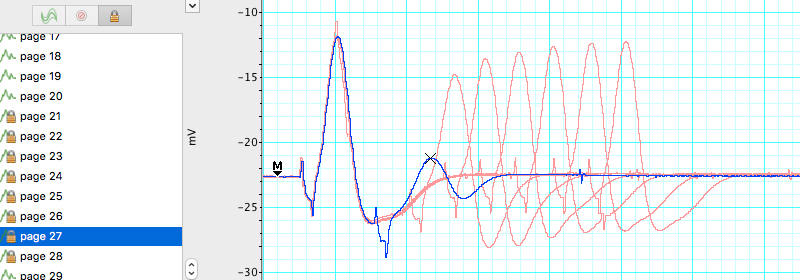 Lab 7: Compound Action Potentials in the Toad Sciatic Nerve – ZOOL430 Animal Physiology and ...